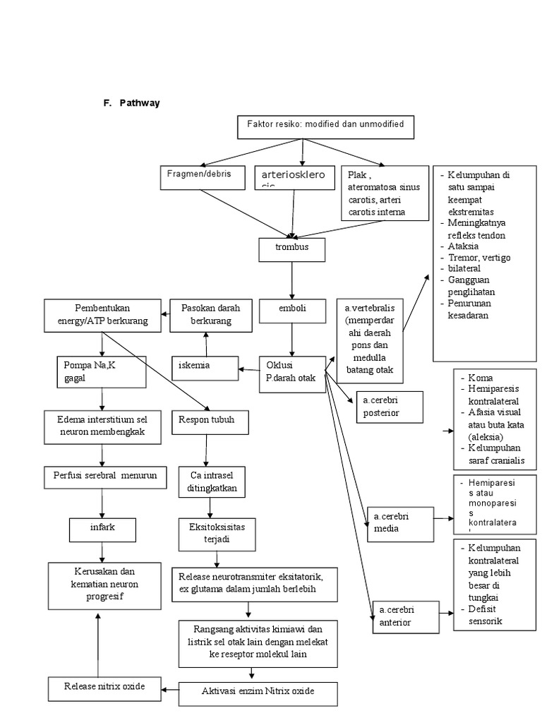 Patofisiologi Stroke Iskemik | PDF | Sains & Matematika