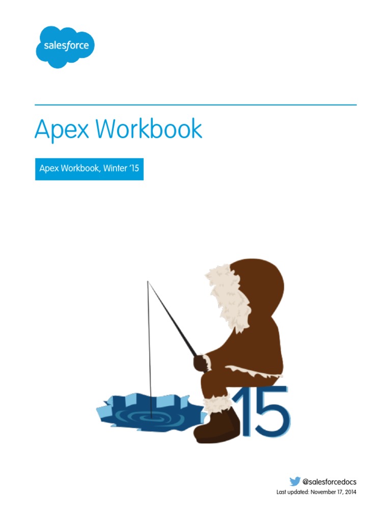 Apex Workbook | PDF | Boolean Data Type | Data Type