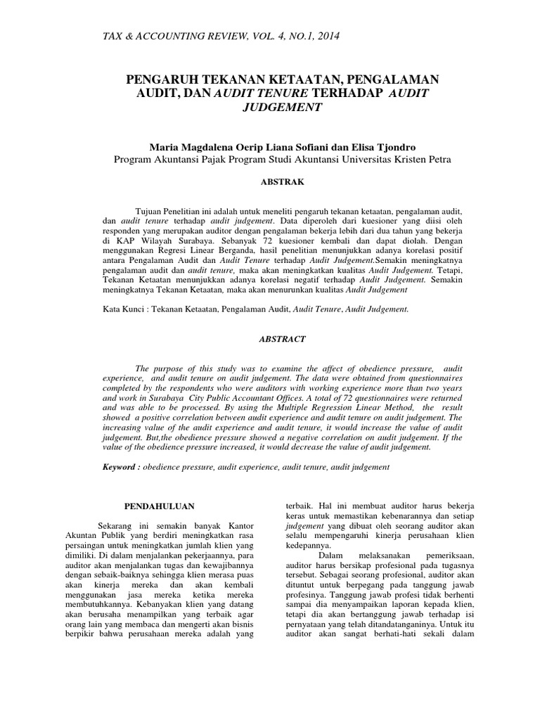 Audit Judgement | PDF