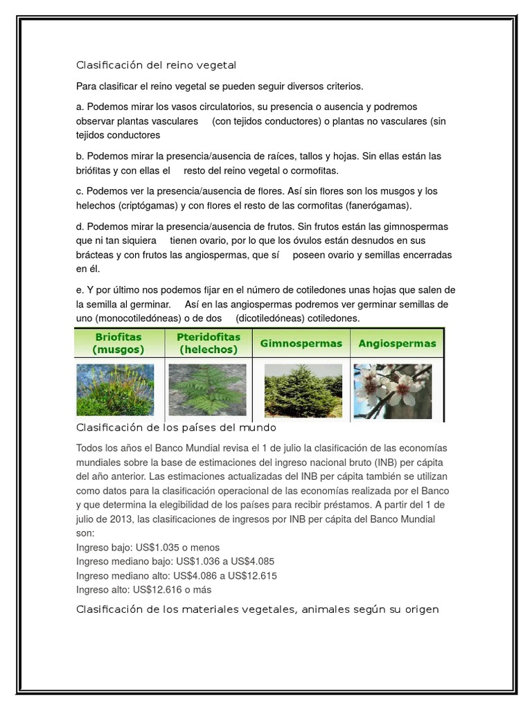 Clasificación del Reino Vegetal | PDF | Plantas | Semilla