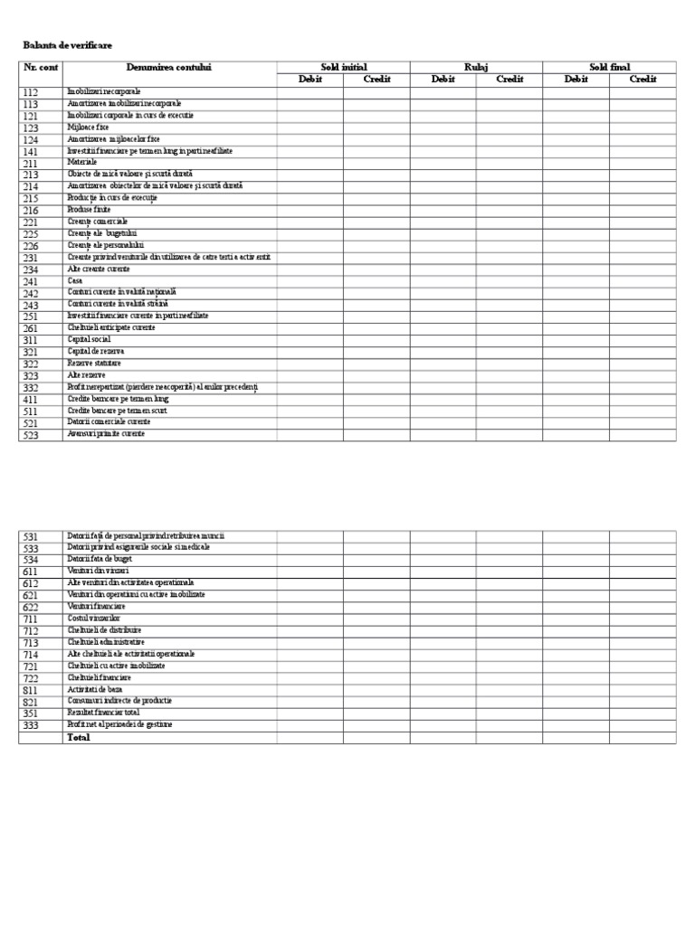Balanta de Verificare - Model. (Conspecte - MD) | PDF
