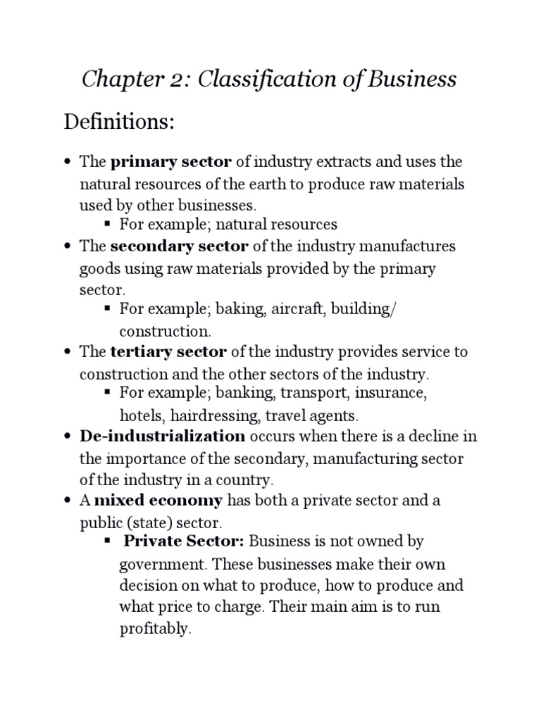 Chapter 2: Classification of Businesses | PDF
