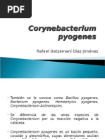 Práctica. Sialometría-1 | PDF | Saliva | Enfermedades y trastornos