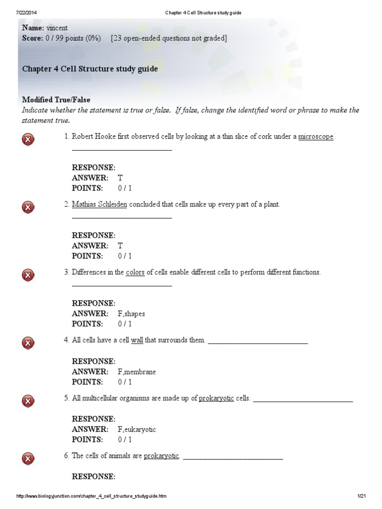 Chapter 4 Cell Structure Study Guide | PDF | Endoplasmic Reticulum ...