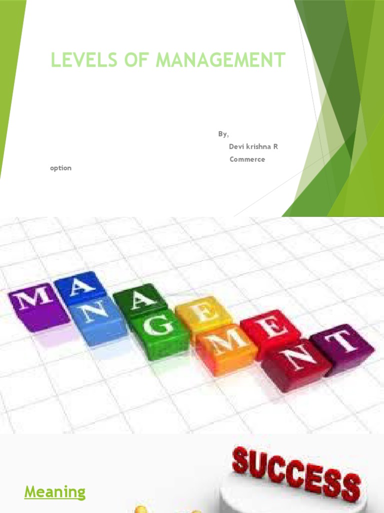 Levels of Management | PDF | Chief Executive Officer | Leadership