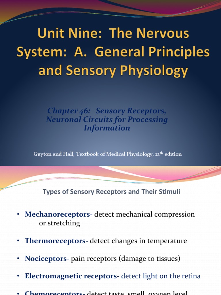 CC 46-Sensory Receptors, Neuronal Circuits For Processing Information | PDF | Stimulus ...