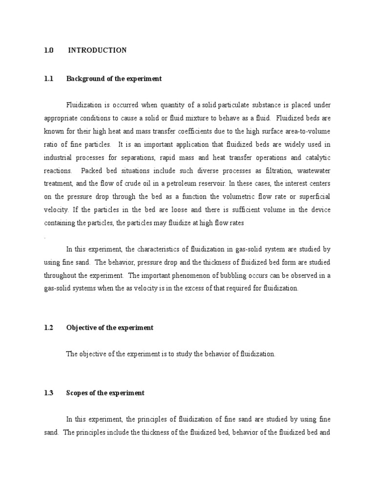 Fluidized Bed Experiment | PDF