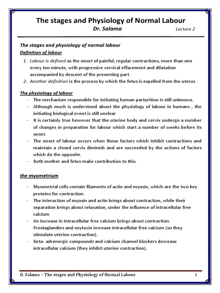 Stages of Labor | PDF | Childbirth | Uterus