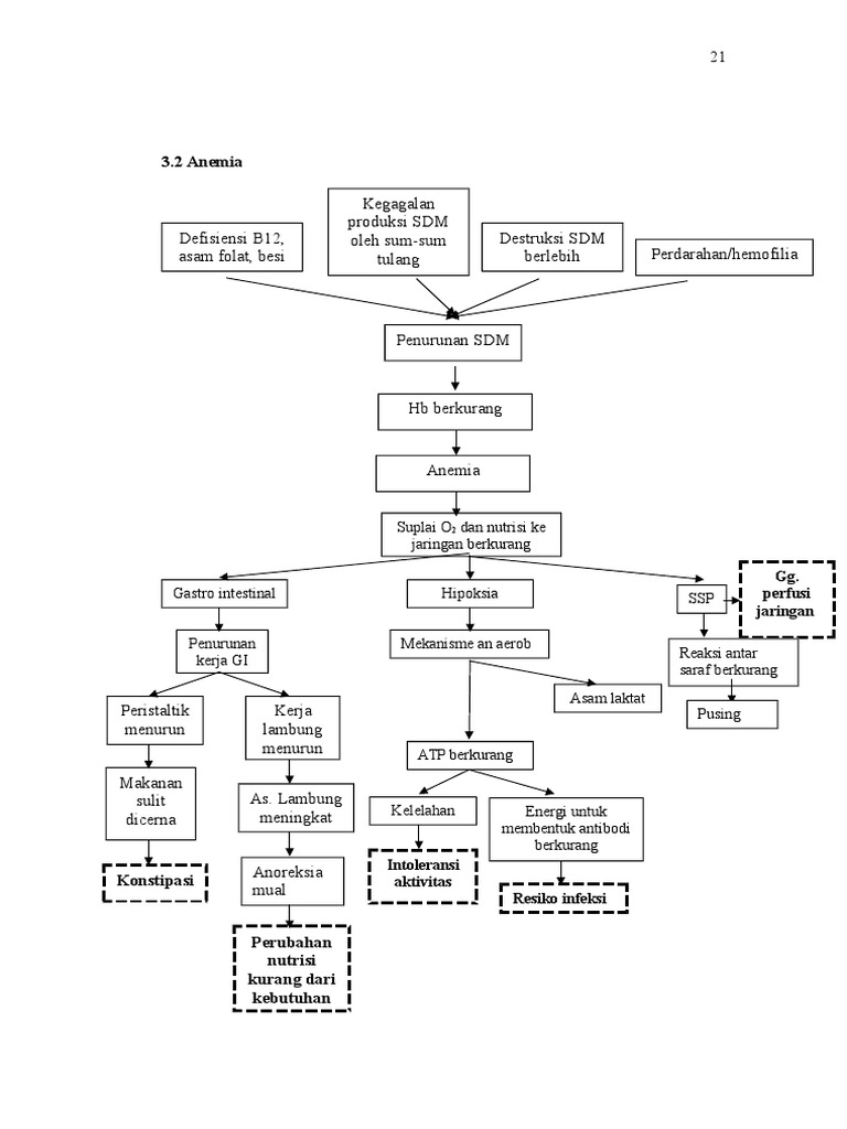Pathway Anemia | PDF