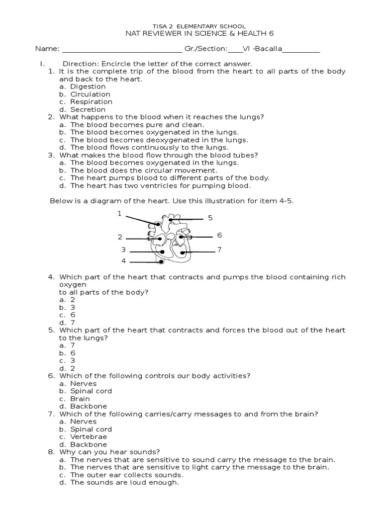 Grade 6 Science NAT Reviewer | PDF | Plate Tectonics | Stars