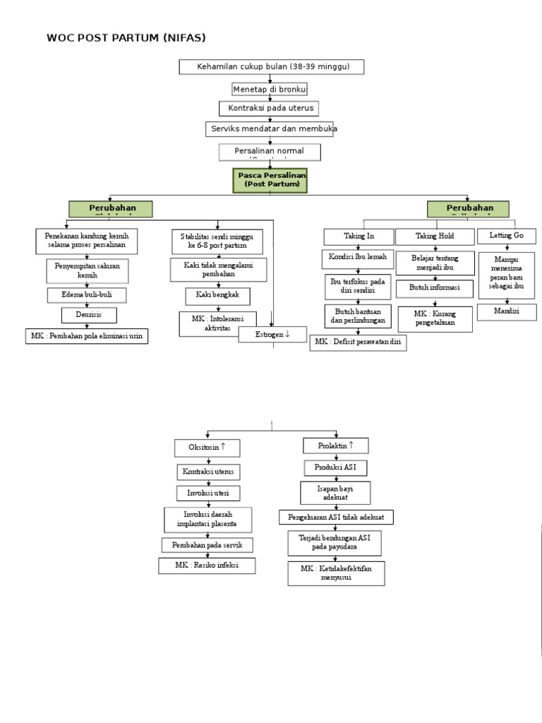 Woc - Post Partum | PDF