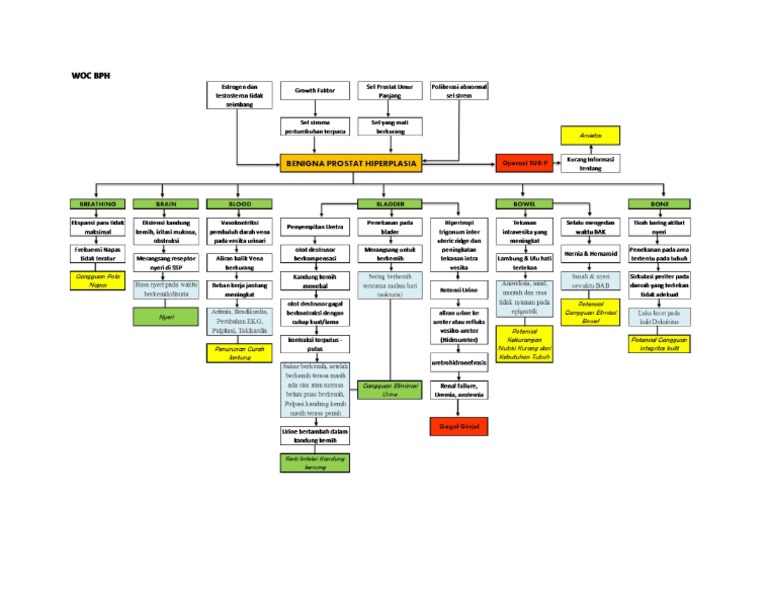 WOC BPH 1 Kasus | PDF