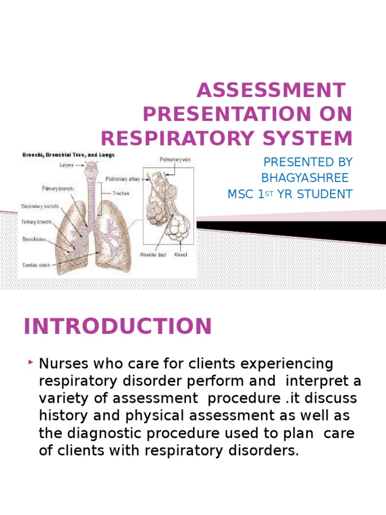 Respiratory System Assessment Guide | PDF | Lung | Chronic Obstructive ...