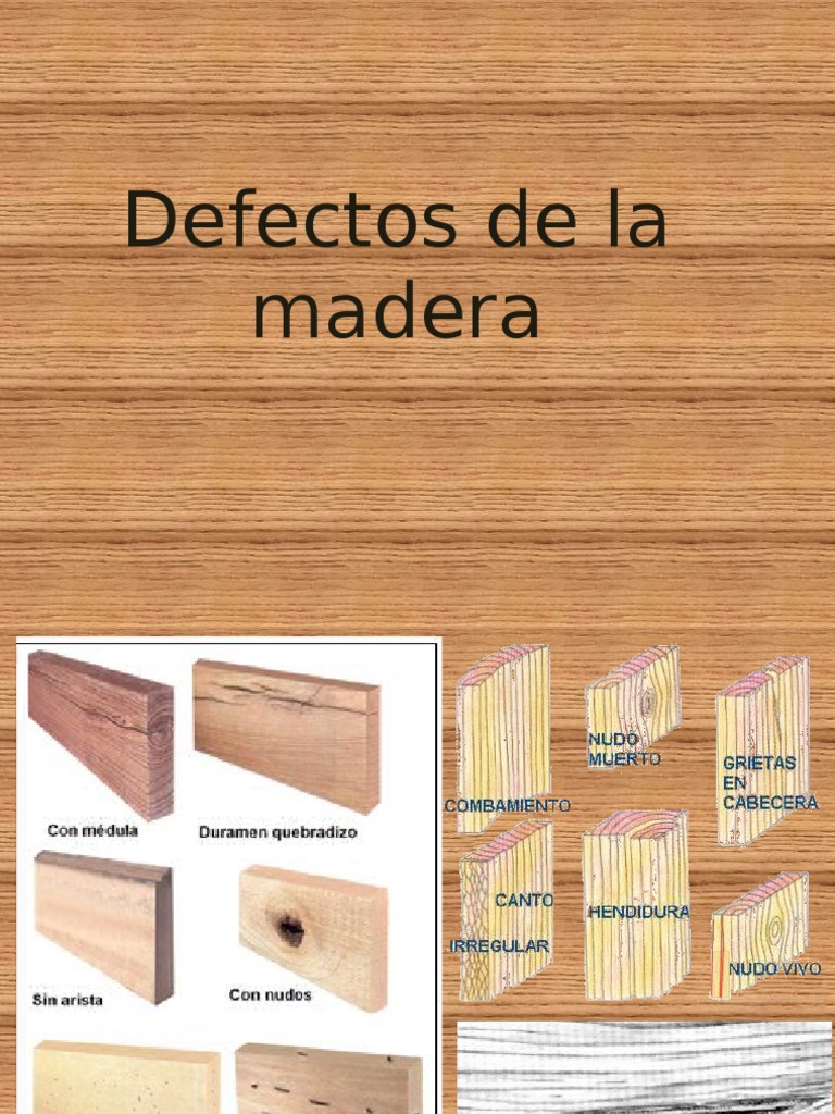 Defectos de La Madera | PDF