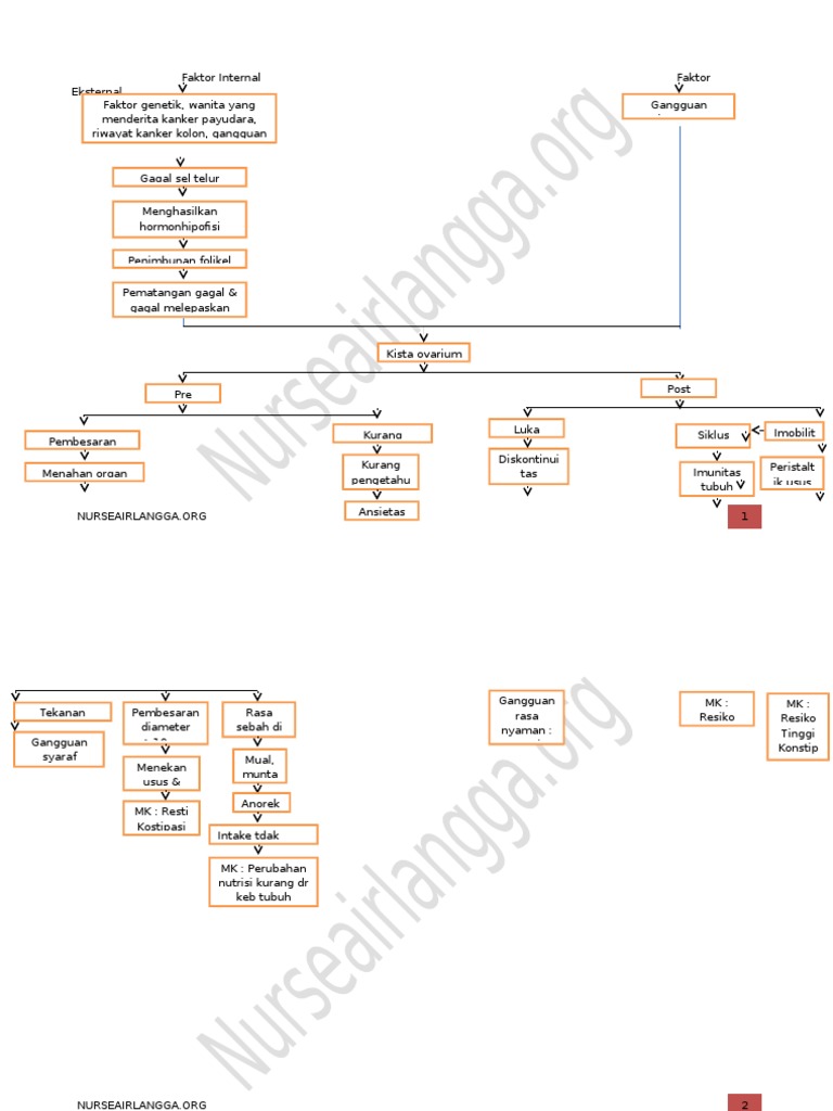 WOC Kista Ovarium | PDF