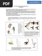 Actividades 5 Taxonomía de Los Seres Vivos | PDF