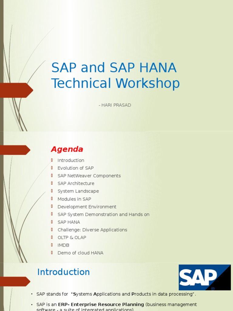 SAP and HANA Technical Workshop | PDF | Sap Se | Databases