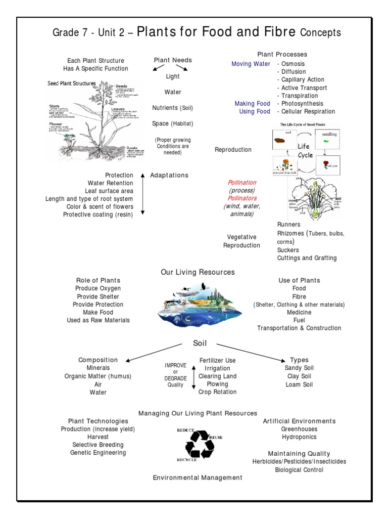 Grade 7 Plants for Food and Fibre | PDF