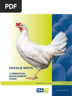 Dekalb White Management Guide | PDF | Nutrients | Chicken