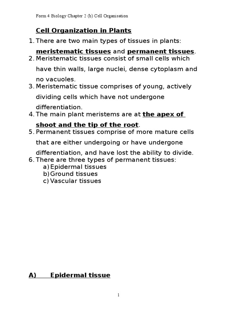 Cell Organization in Plants: Form 4 Biology Chapter 2 (B) Cell ...