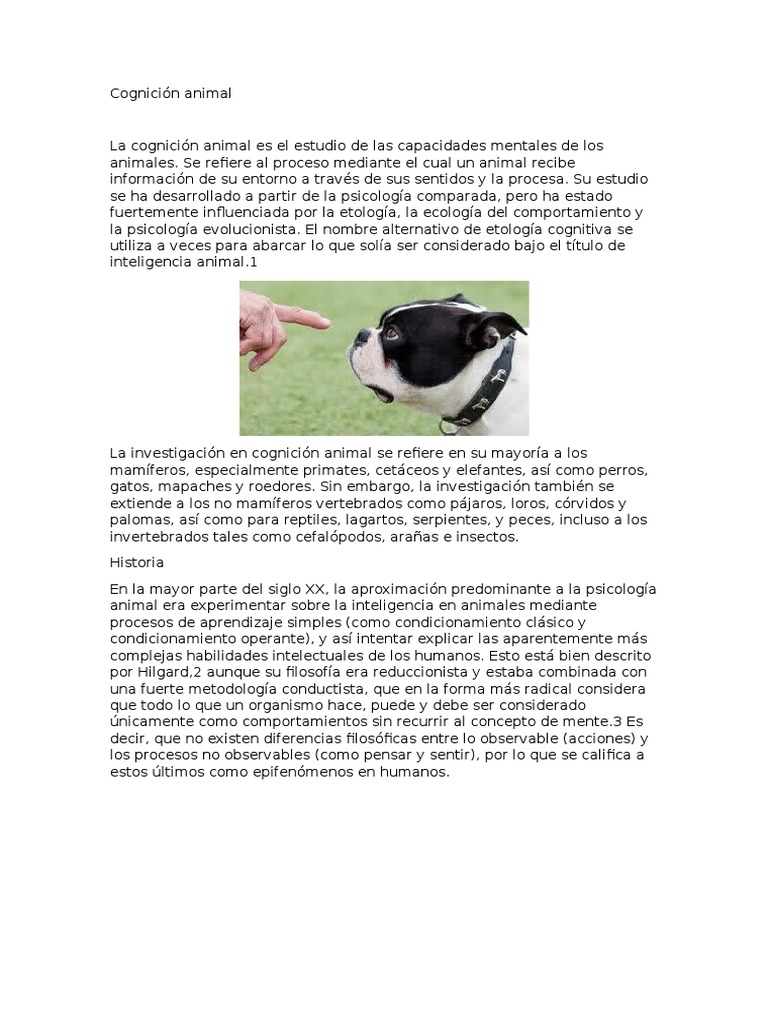 Cognición Animal | PDF | Conceptos psicologicos | Epistemología