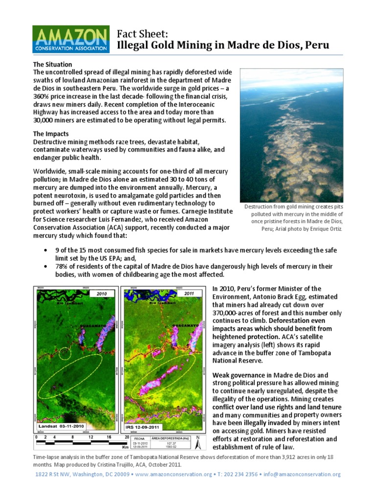 Gold Mining Fact Sheet | PDF | Natural Environment | Ecology