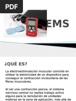 Glosario de Terminos Clinicos en Fisioterapia | PDF | Músculo | Masaje