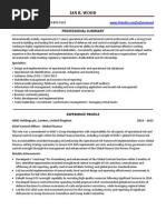 Big 4 Sample CV | PDF | Accountant | Audit