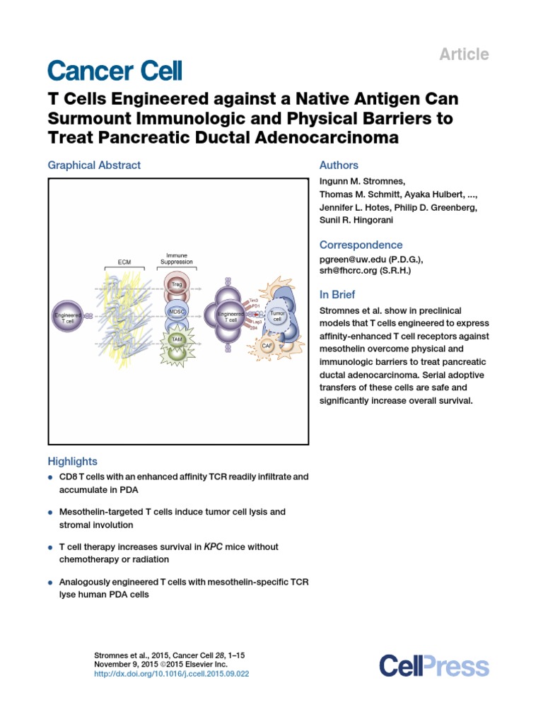 KPC Mouse Model | PDF | T Cell | Antigen