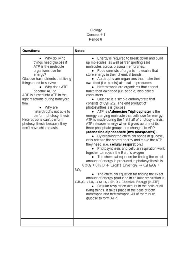 Questions: Notes:: 6CO + 6H O + Light Energy C H O + 6O | PDF | Science ...