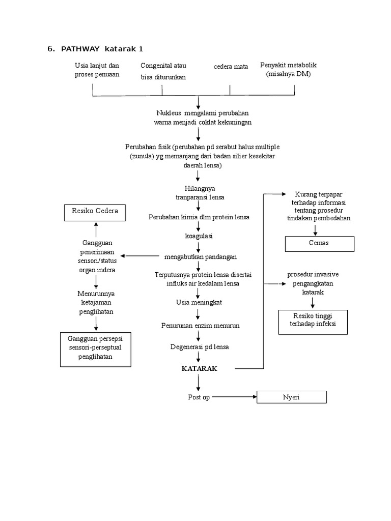 Pathway Katarak | PDF | Pengembangan Diri | Kesehatan Holistik