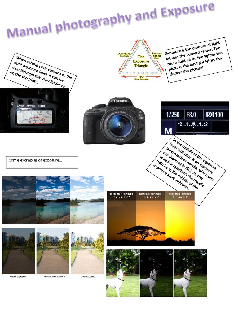 Exposure Digital Poster | PDF