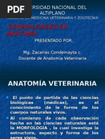 El Timo Animal | PDF