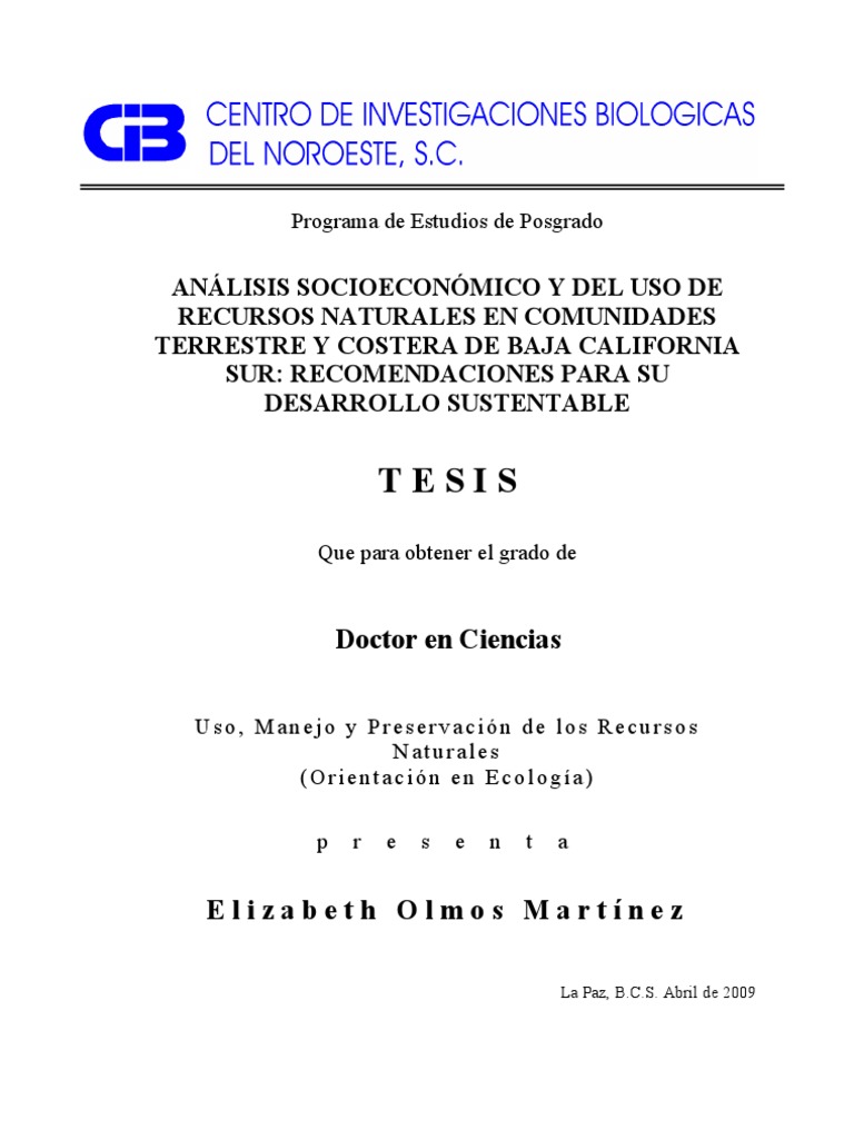 TESIS Elizabeth Olmos Martínez | PDF | Análisis FODA | Pobreza