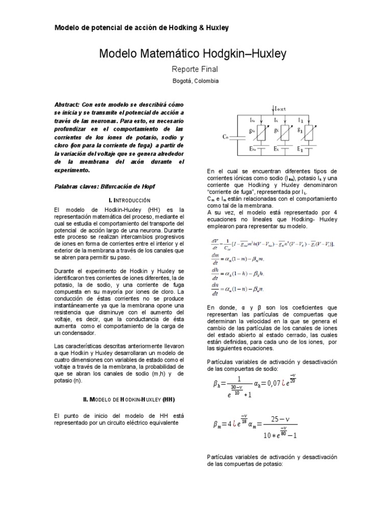 Modelo HH | PDF | Potencial de acción | Neurona