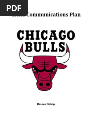 Comcast Sportsnet Chicago Bulls Sideline Reporter