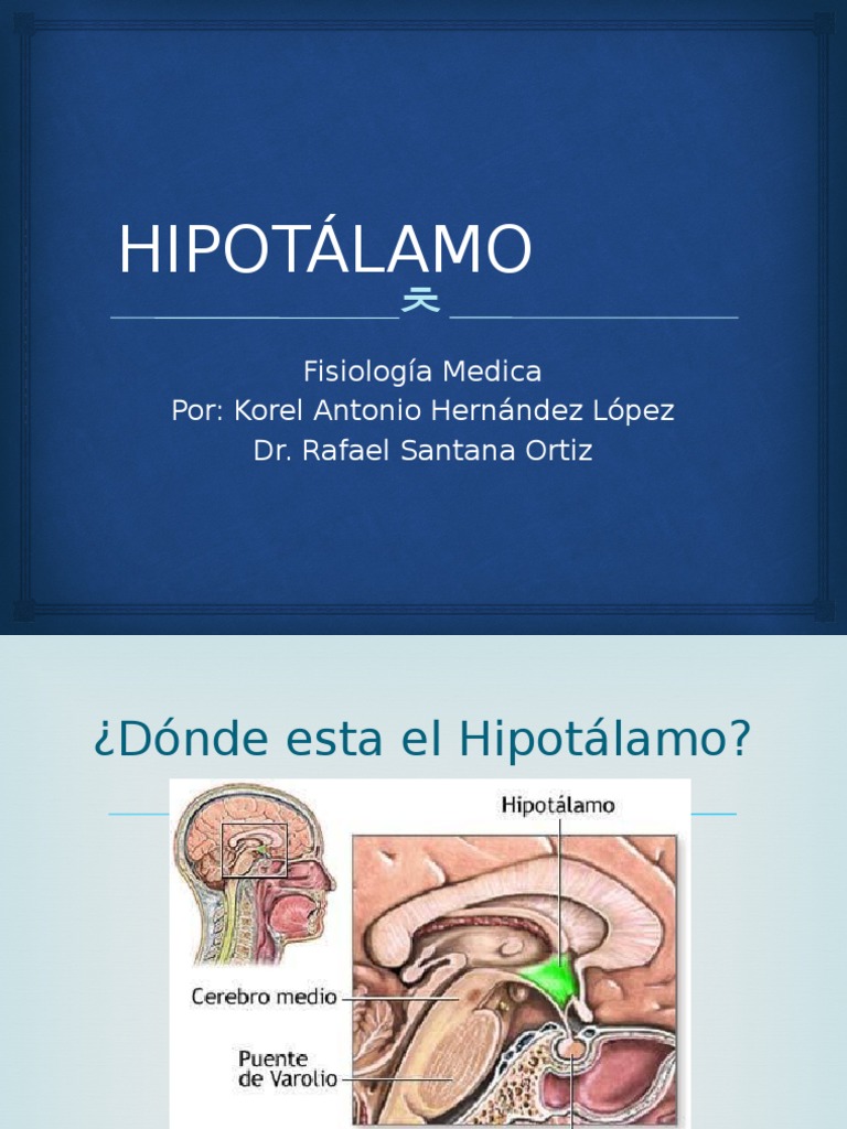 HIPOTÁLAMO | Hipotálamo | Glándula pituitaria