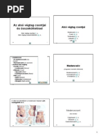 A Gerinc Anatómiája | PDF