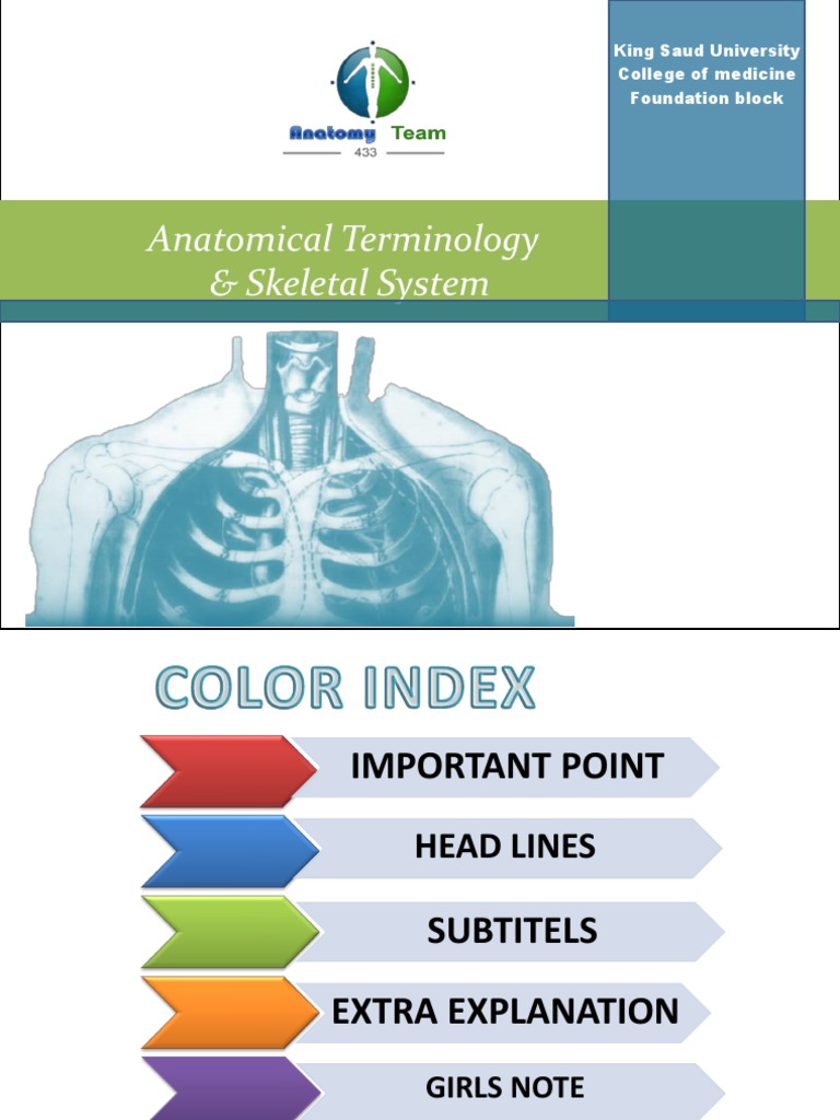 Anatomical Terminology & Skeleton System | PDF | Anatomical Terms Of ...