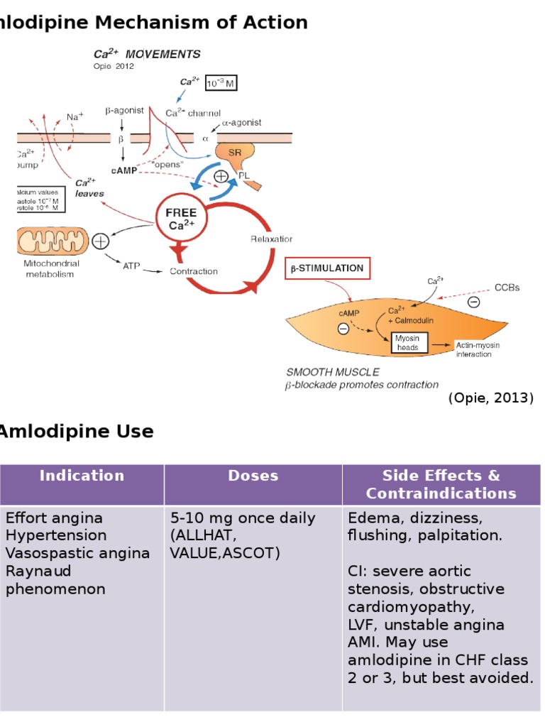 Amlodipine: Mechanism of Action, Indications, Dosing, Side Effects, and ...