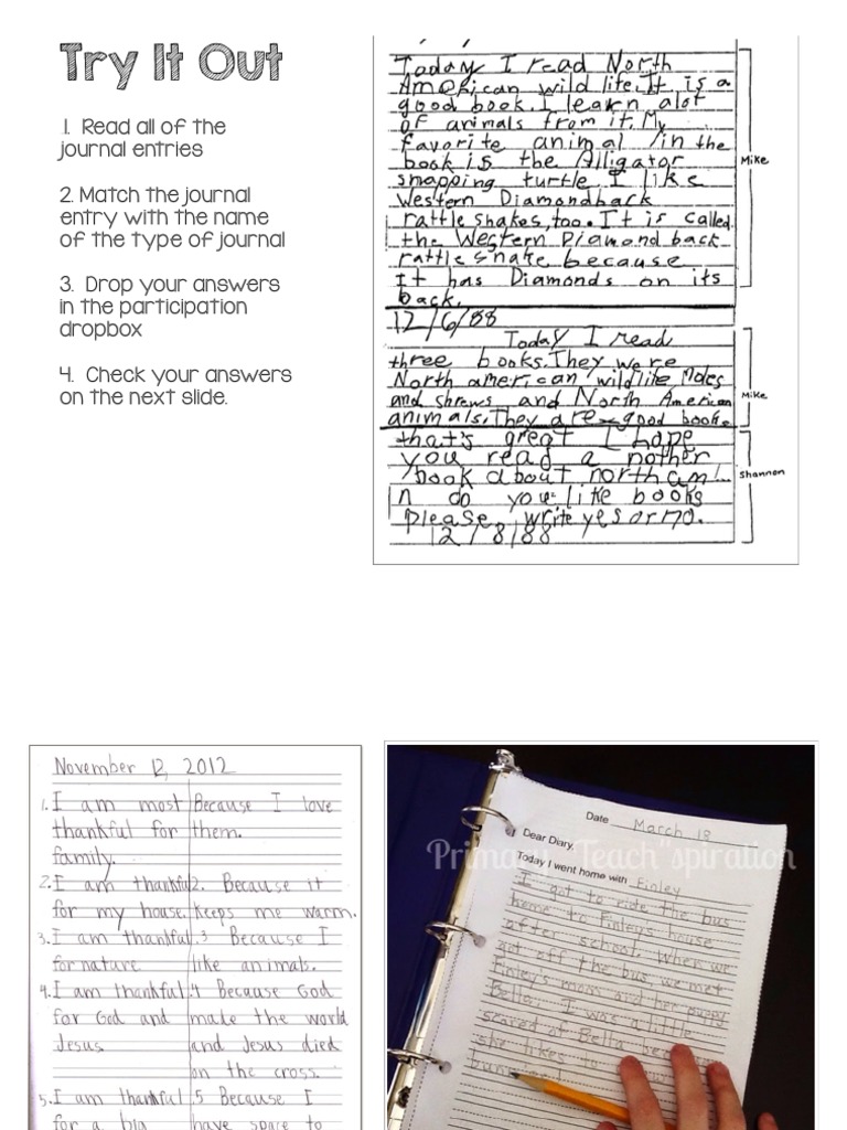 Journal Try It Out | PDF