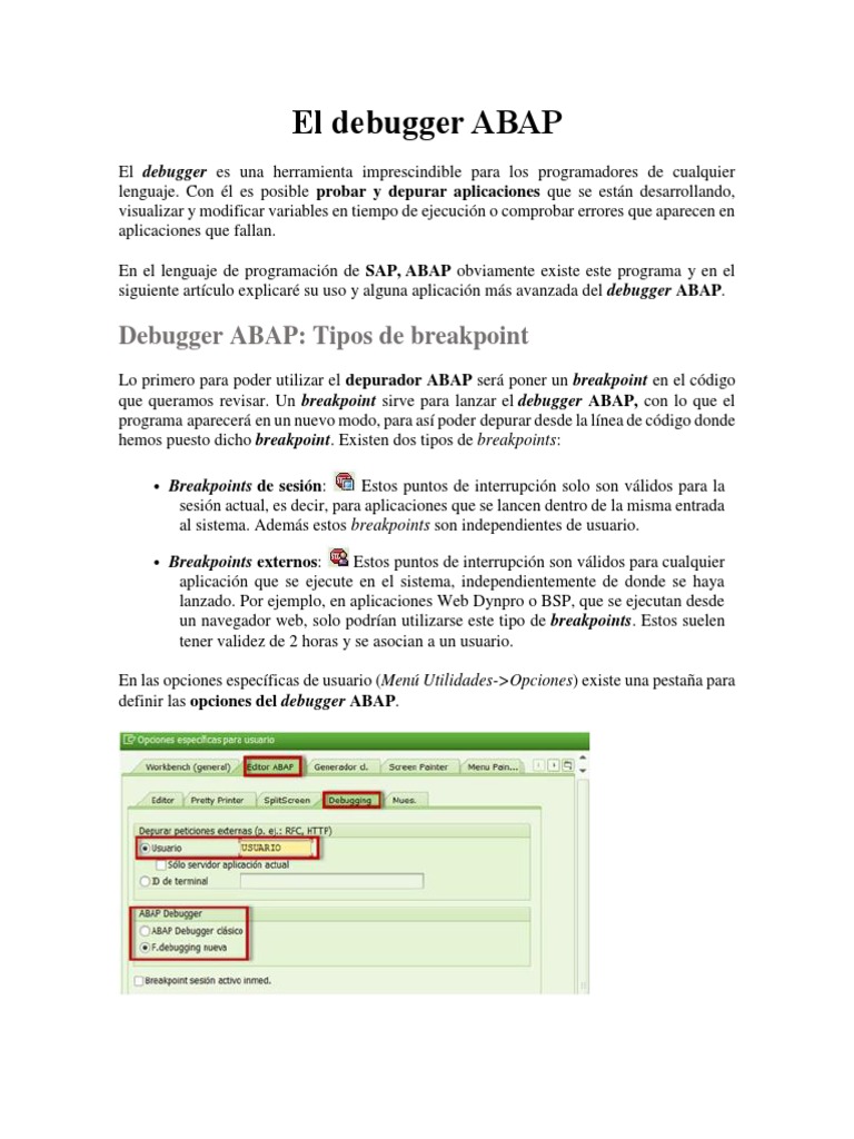 El Debugger Abap Pdf Programa De Computadora Programación 
