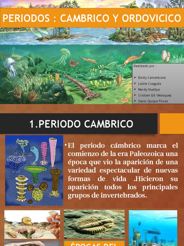 Cambrico y Ordovicico EXPOSICIÓN | Earth Sciences | Geología