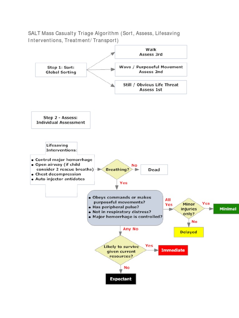 Mass Casualty Triage Algorithms | Emergency Department | Medical Treatments