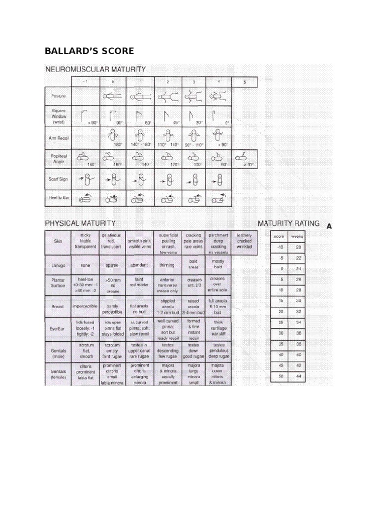 Ballard Score | PDF