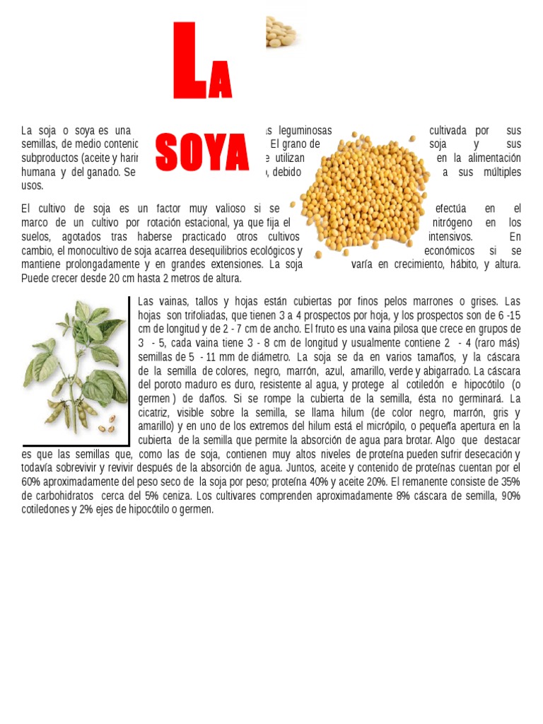 La Soja o Soya Es Una Especie de La Familia de Las Leguminosas ...