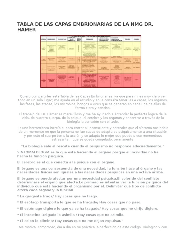 Tabla de Las Capas Embrionarias de La NMG Dr. Hamer | PDF