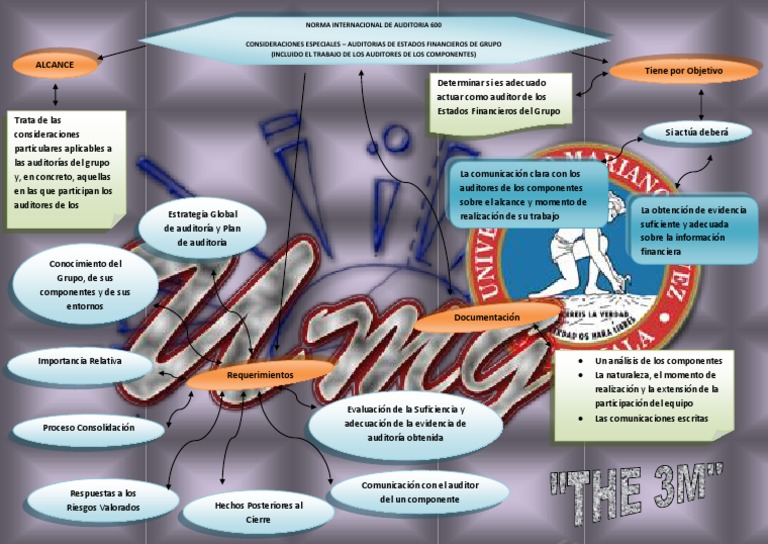 Mapa Conceptual Nia 600 | PDF