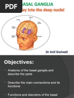 Grade 12 Life Science The Ear PDF | PDF | Ear | Hearing