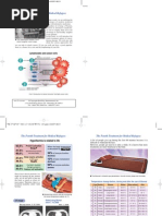 Principles of Plastic Surgery For | PDF | Wound Healing | Healing